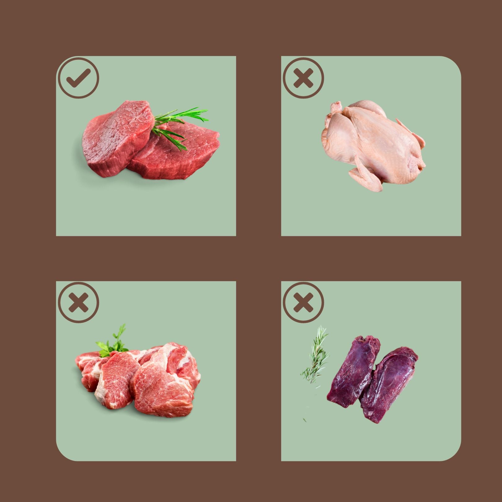 Dog Food Melbourne: Unleash Quality! | Brunswick Fur Food